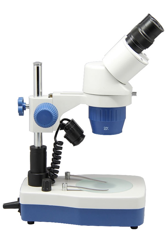 Optical Microscope:TLI-LED Dual Magnification
